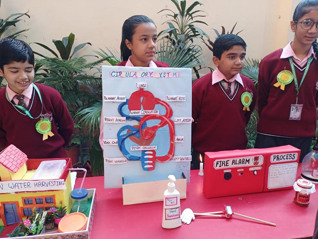 Science , Maths and Vocational Club Exhibition :: St. Mary's Public School